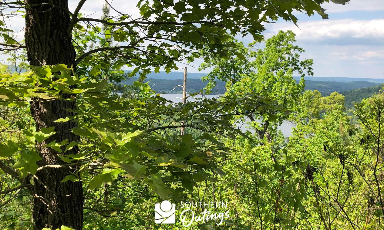 A hiker’s guide to the trails at Lake Guntersville State Park ...